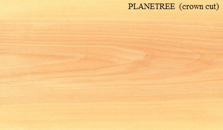 PLANETREE WOOD VENEER